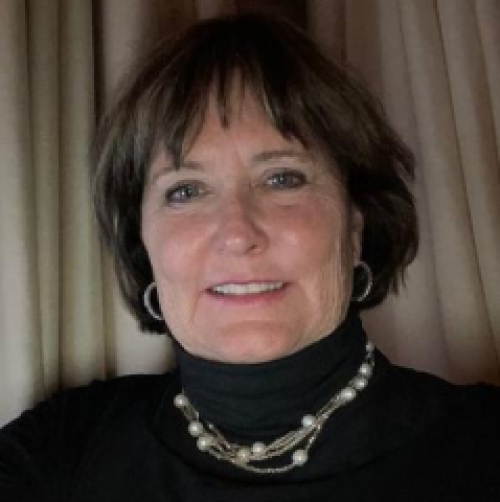 Dr. Colleen Sheehan receives distinguished appointments | School of ...